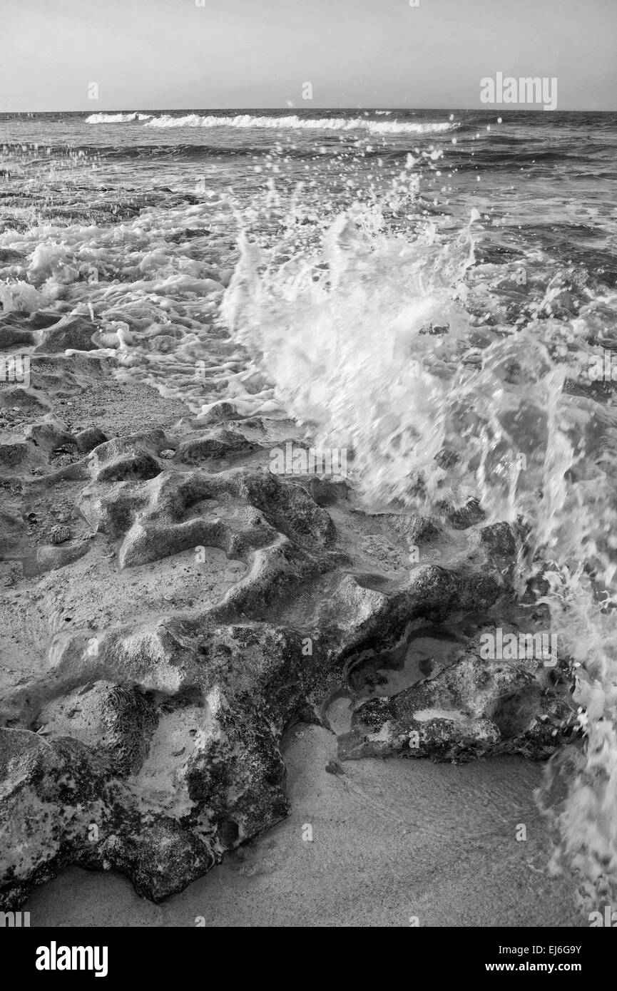 Macro Beach Detail Stock Photo - Alamy