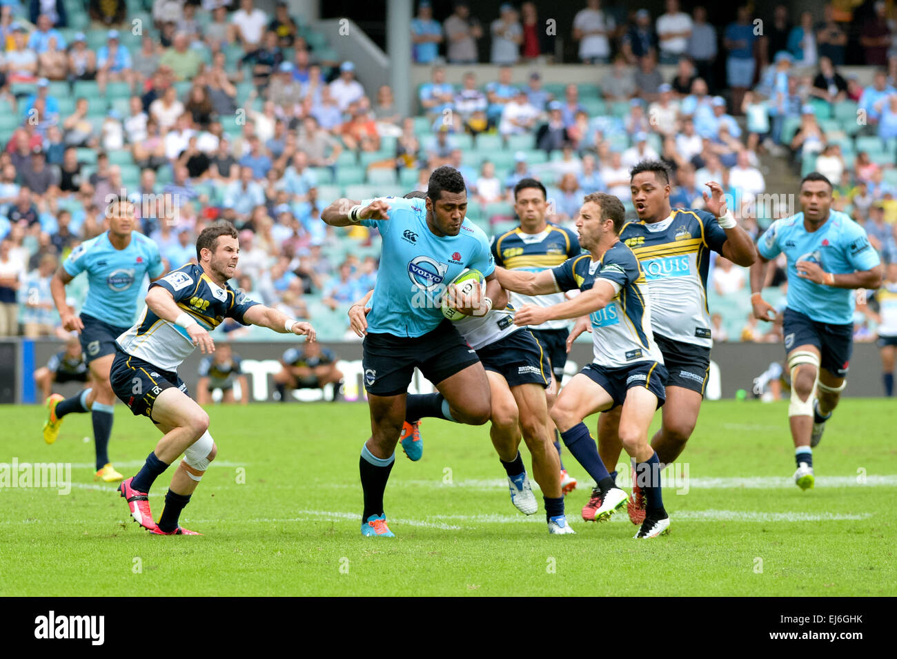Allianz stadium sydney rugby hi-res stock photography and images - Alamy