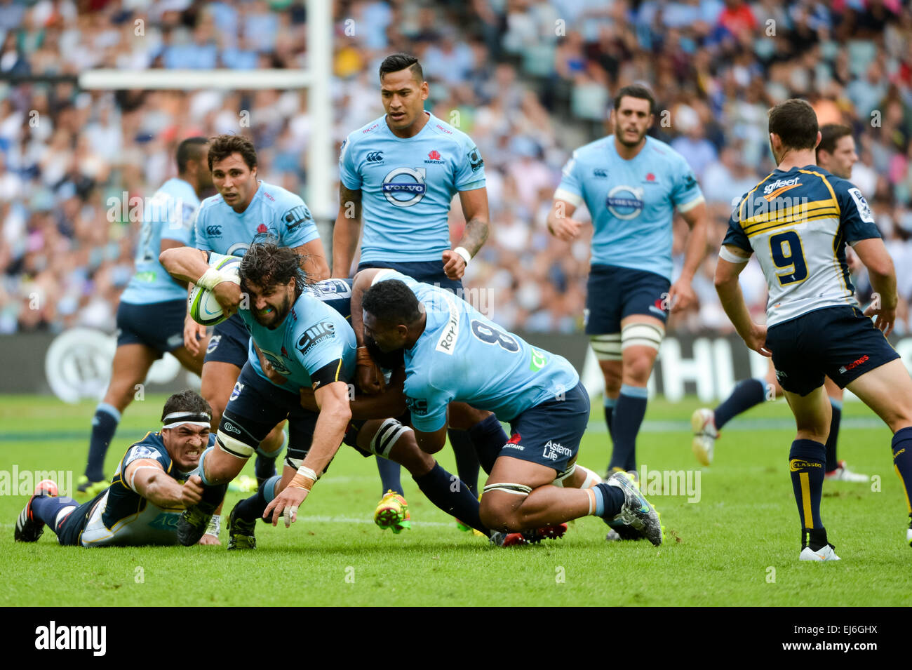 Allianz stadium sydney rugby hi-res stock photography and images - Alamy