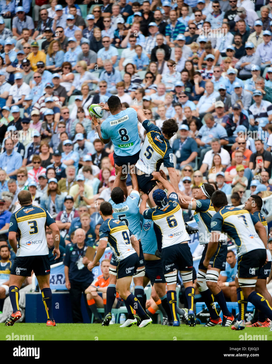 Allianz stadium sydney rugby hi-res stock photography and images - Alamy