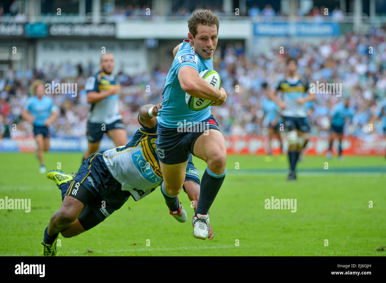 Allianz stadium sydney rugby hi-res stock photography and images - Alamy