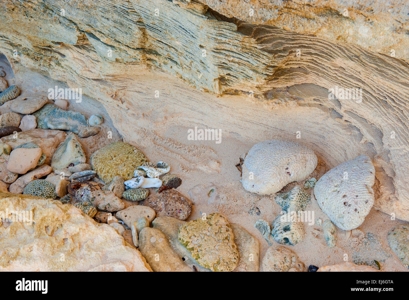 Macro Beach Detail Stock Photo - Alamy