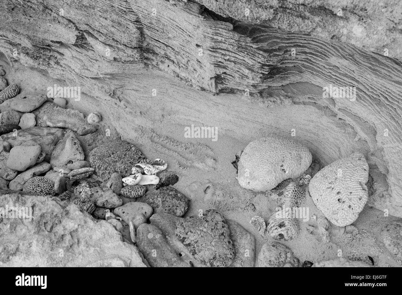 Macro Beach Detail Stock Photo - Alamy