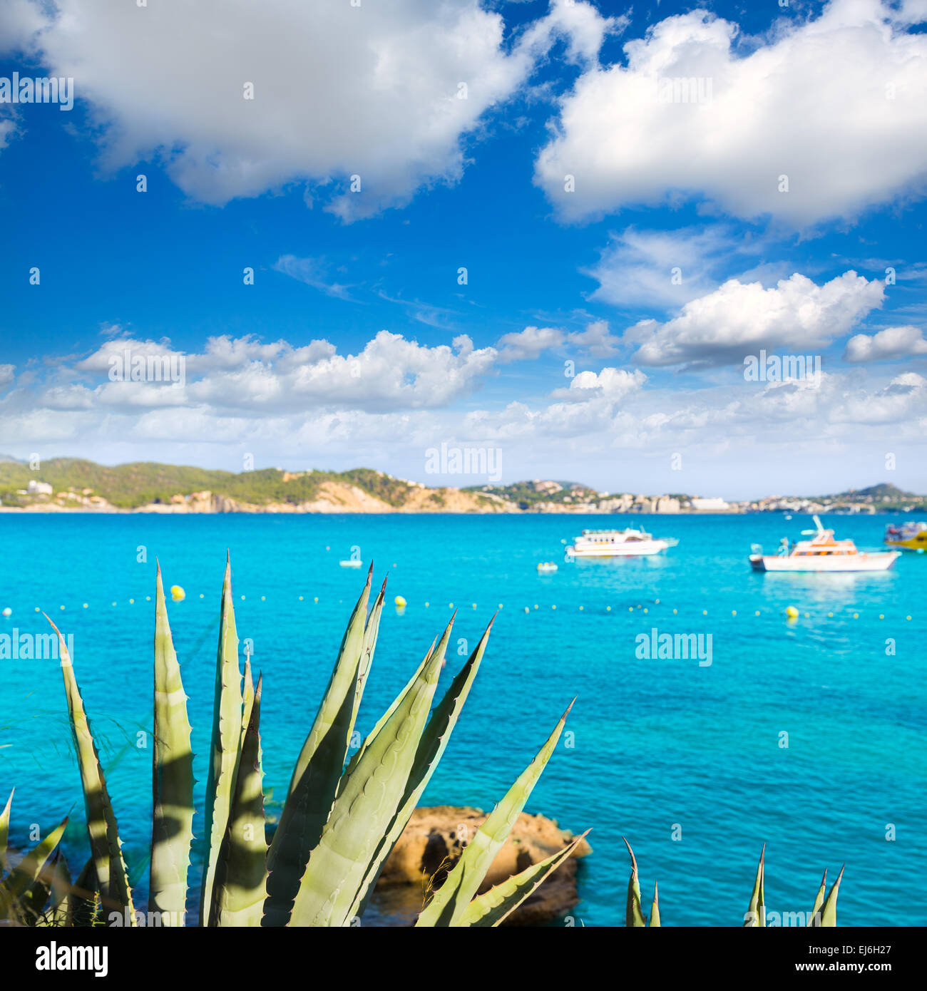 Majorca Cala Fornells beach Paguera Peguera Calvia in Mallorca at ...
