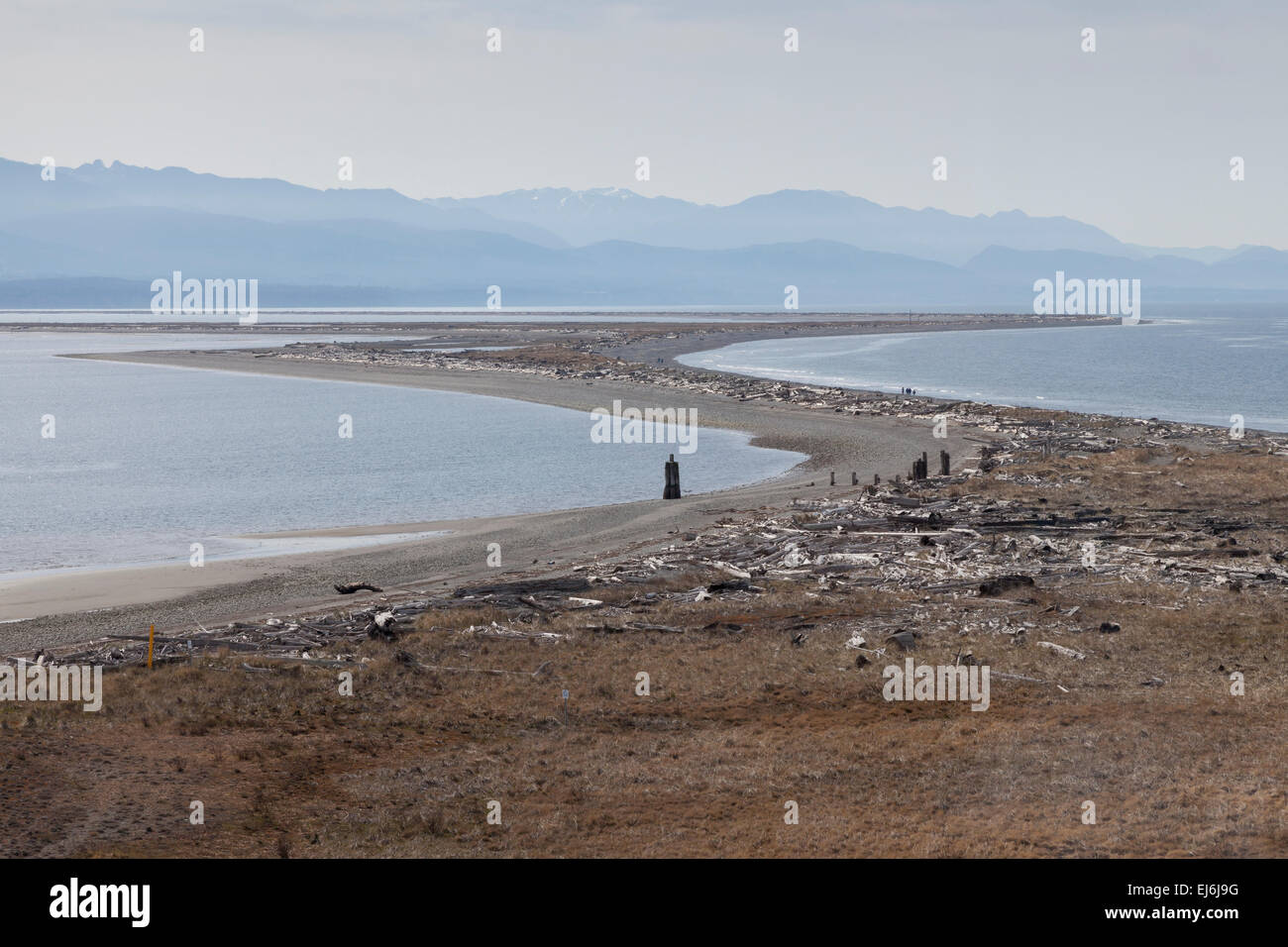 View of Dungeness Spit from the New Dungeness Light Station Stock Photo ...