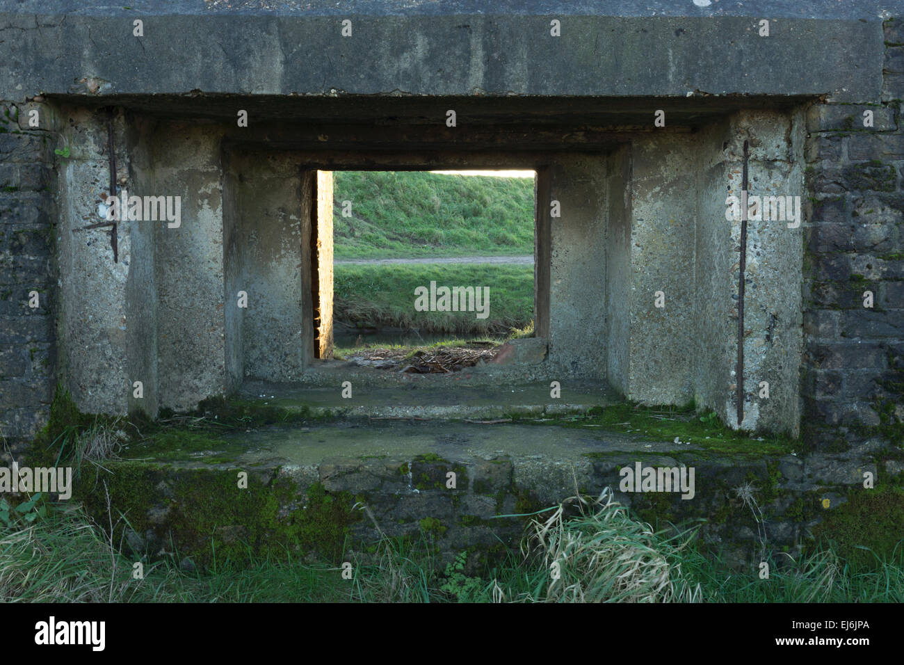 World war 2 british tank hi-res stock photography and images - Alamy