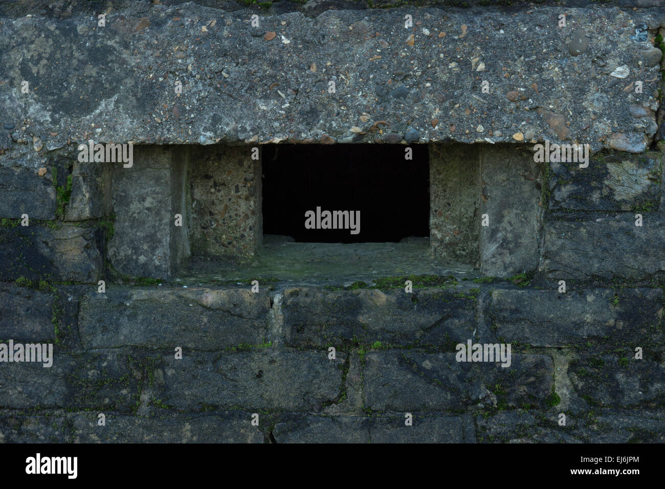 World war 2 british tank hi-res stock photography and images - Alamy