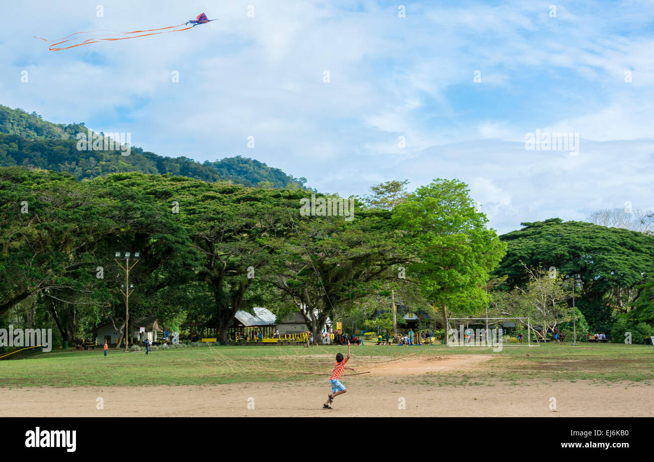 A young boy flying a kite ,Lopinot Village savannah Trinidad Stock ...