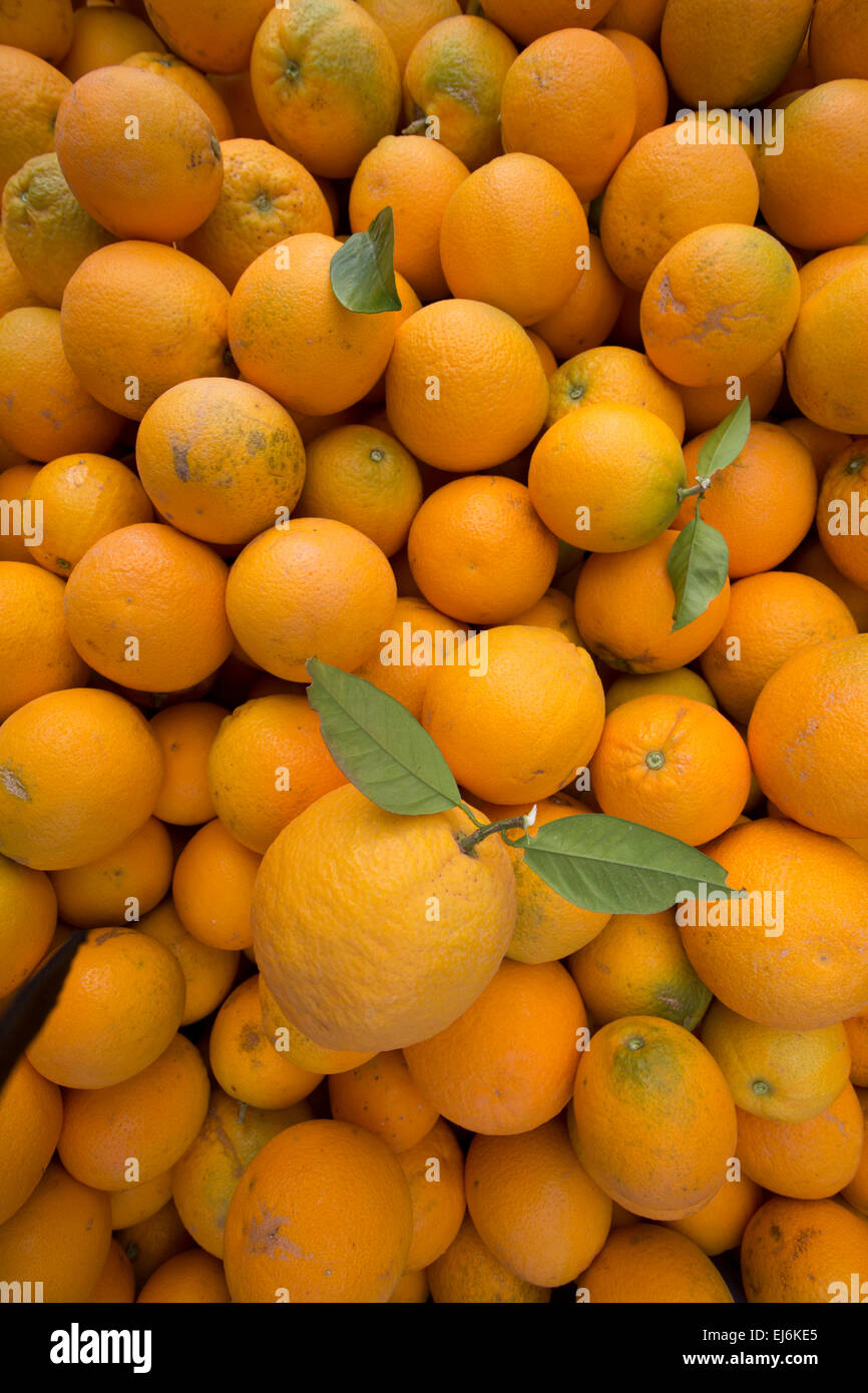 Oranges australia hi-res stock photography and images - Alamy