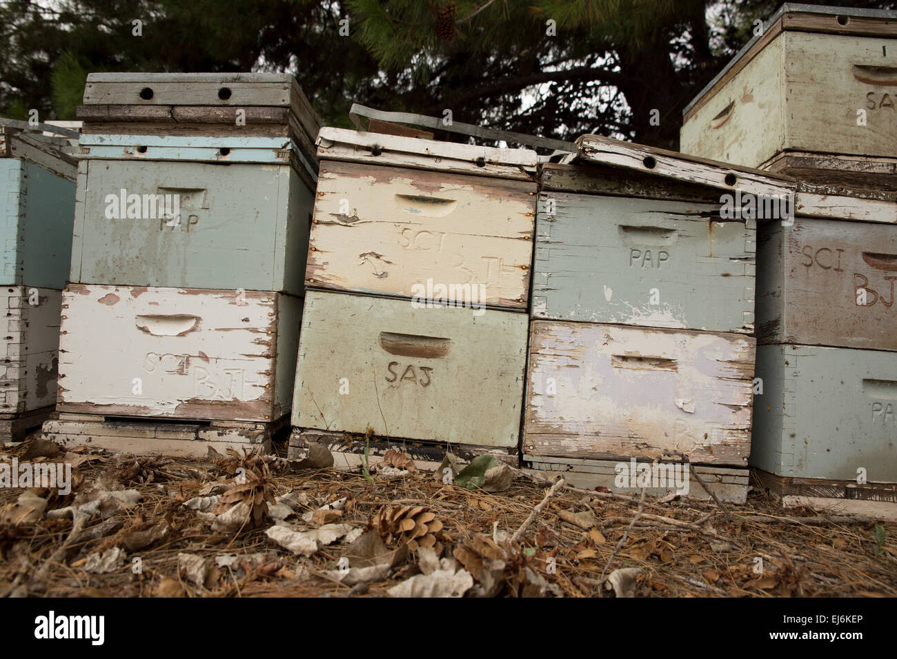 Traditional beehives hi-res stock photography and images - Alamy