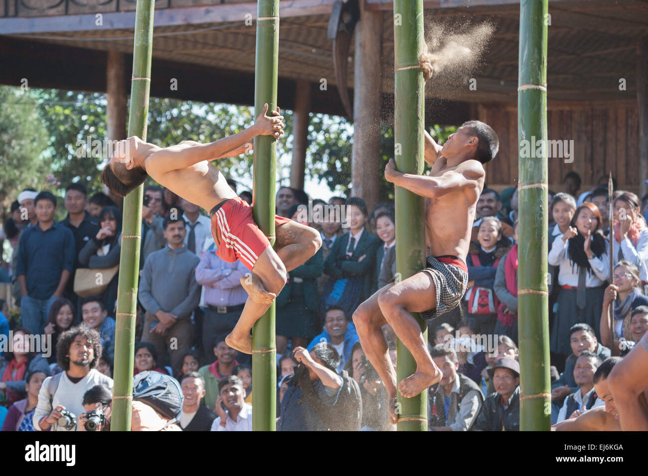Bamboo Climbing in Hornbill festival Stock Photo - Alamy