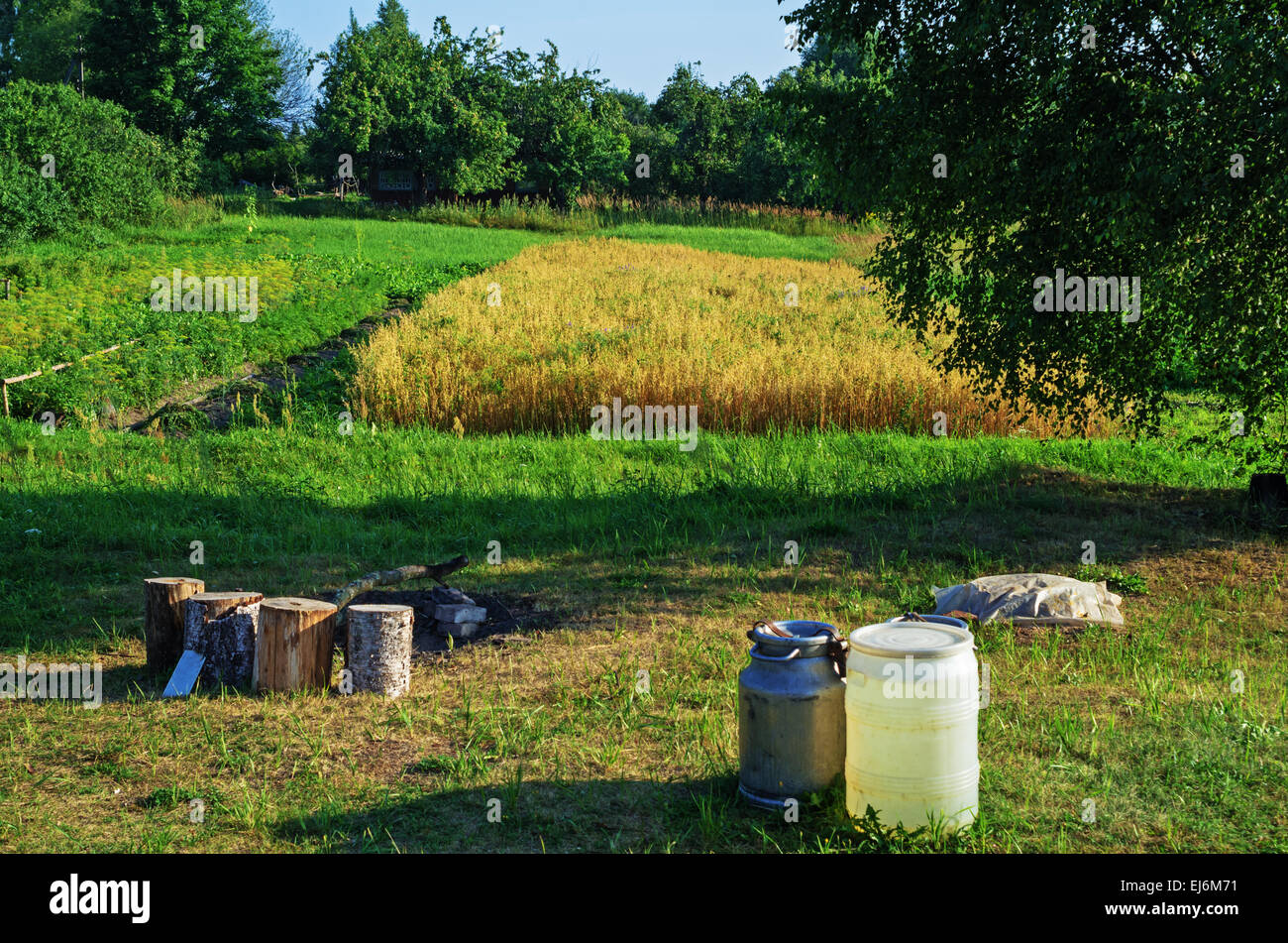 Rural landscape. Small field in garden Stock Photo - Alamy