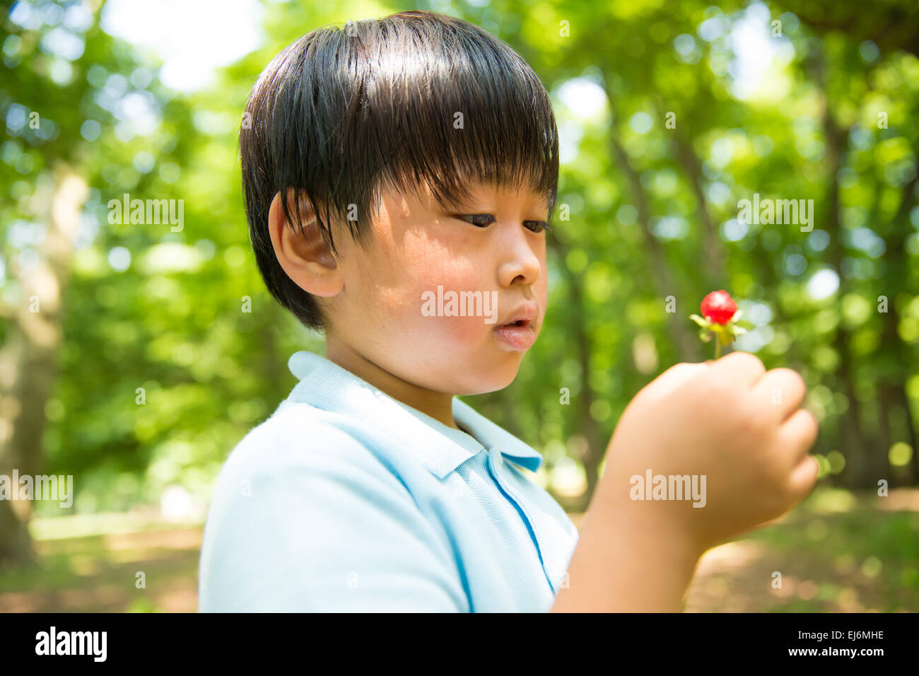 Japanese kid in a city park Stock Photo - Alamy