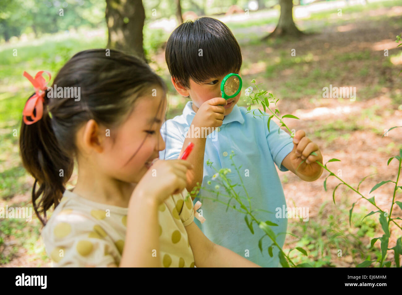 Japanese kids in a city park Stock Photo - Alamy