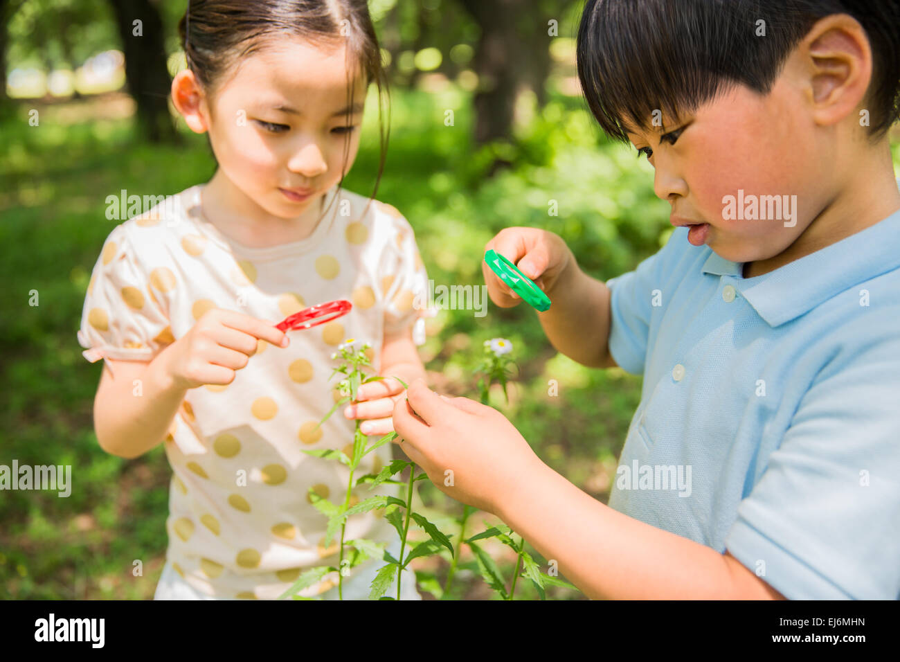 Japanese kids in a city park Stock Photo - Alamy