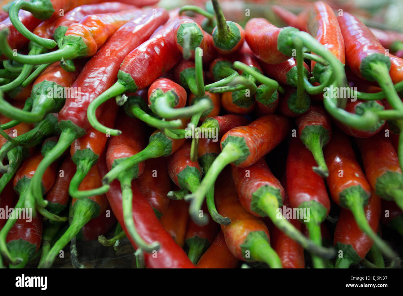 Organic chillis hi-res stock photography and images - Alamy