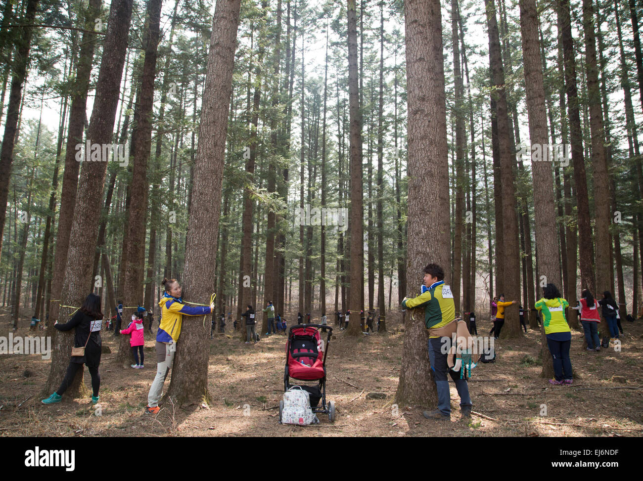 Tree Hug, Mar 21, 2015 : People participate in a 'Tree Hug' event in ...