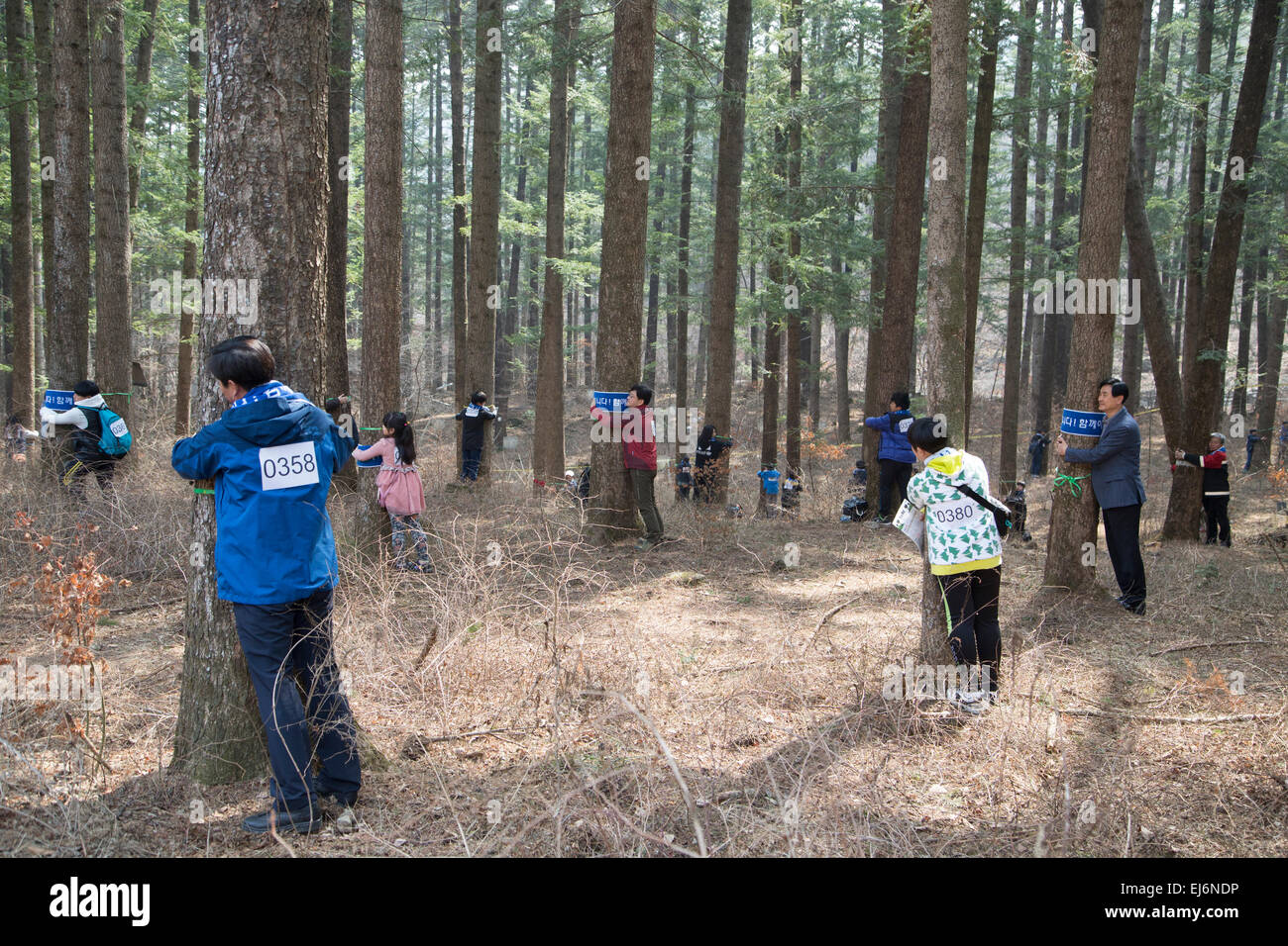 Live hugging tree hi-res stock photography and images - Alamy