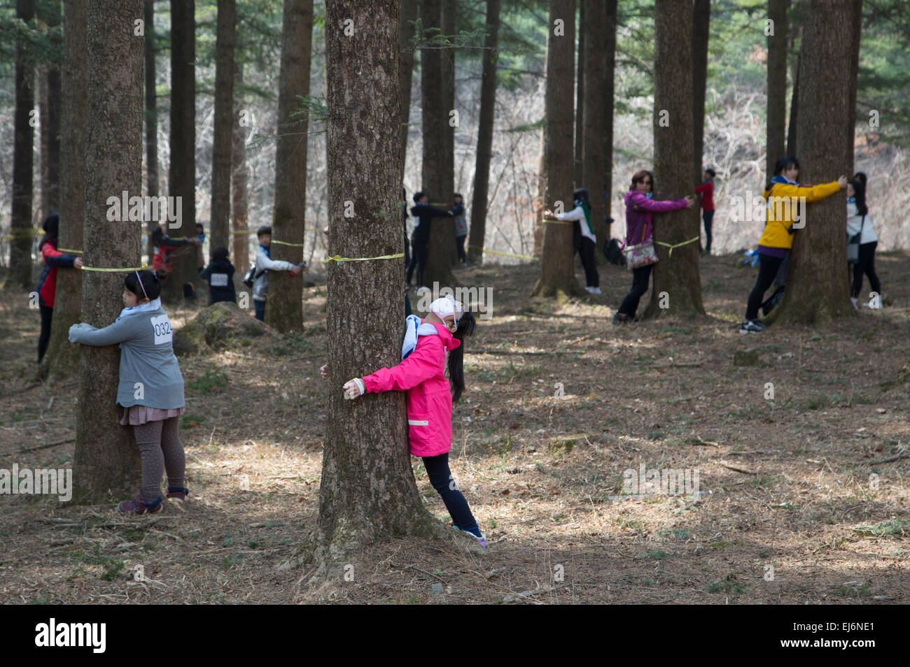 Tree Hug, Mar 21, 2015 : People participate in a 'Tree Hug' event in ...