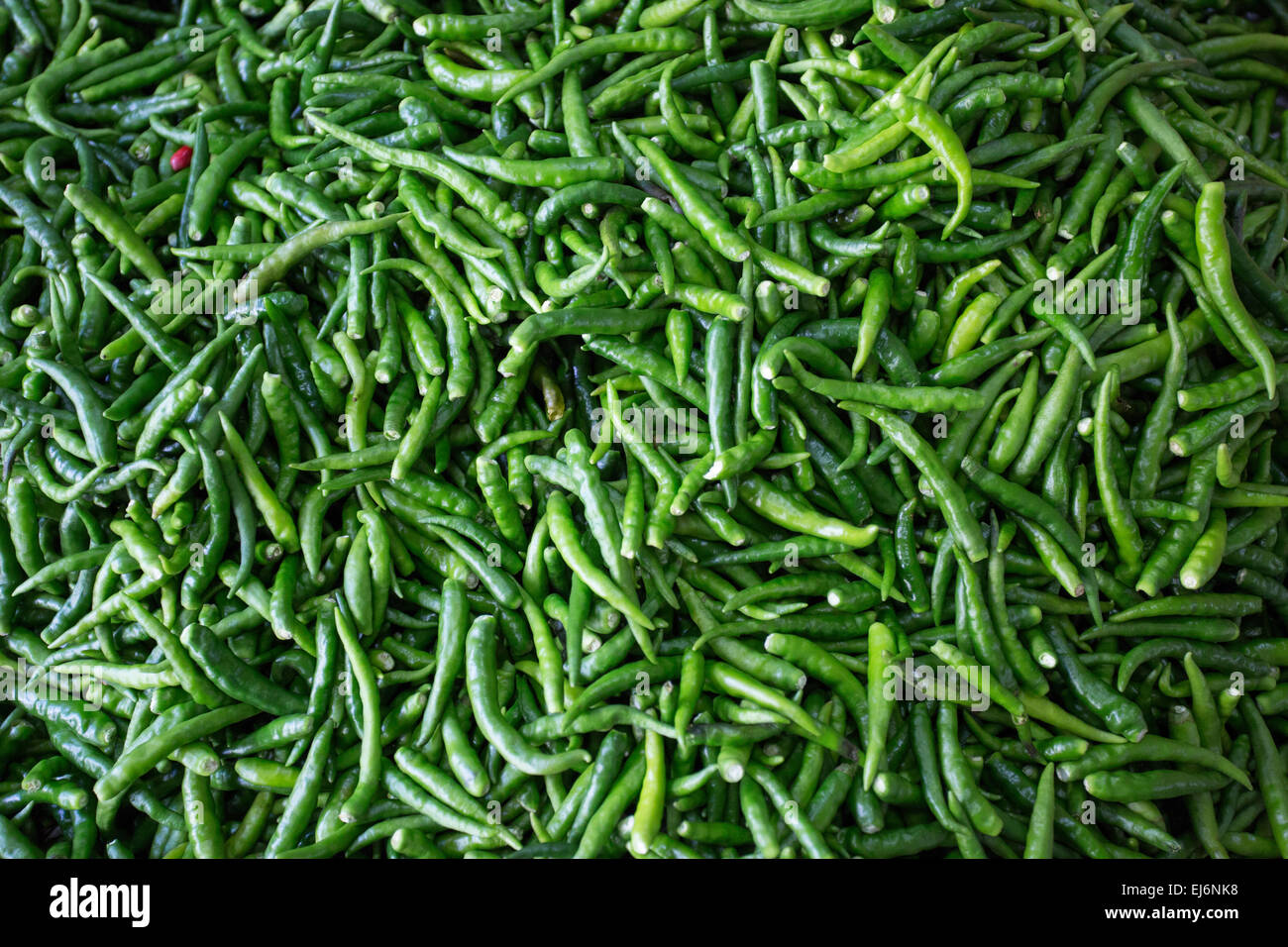 Chilli many hi-res stock photography and images - Alamy