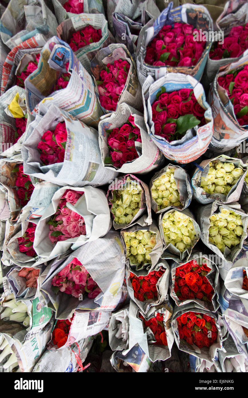 Bunches of pink roses hi-res stock photography and images - Alamy