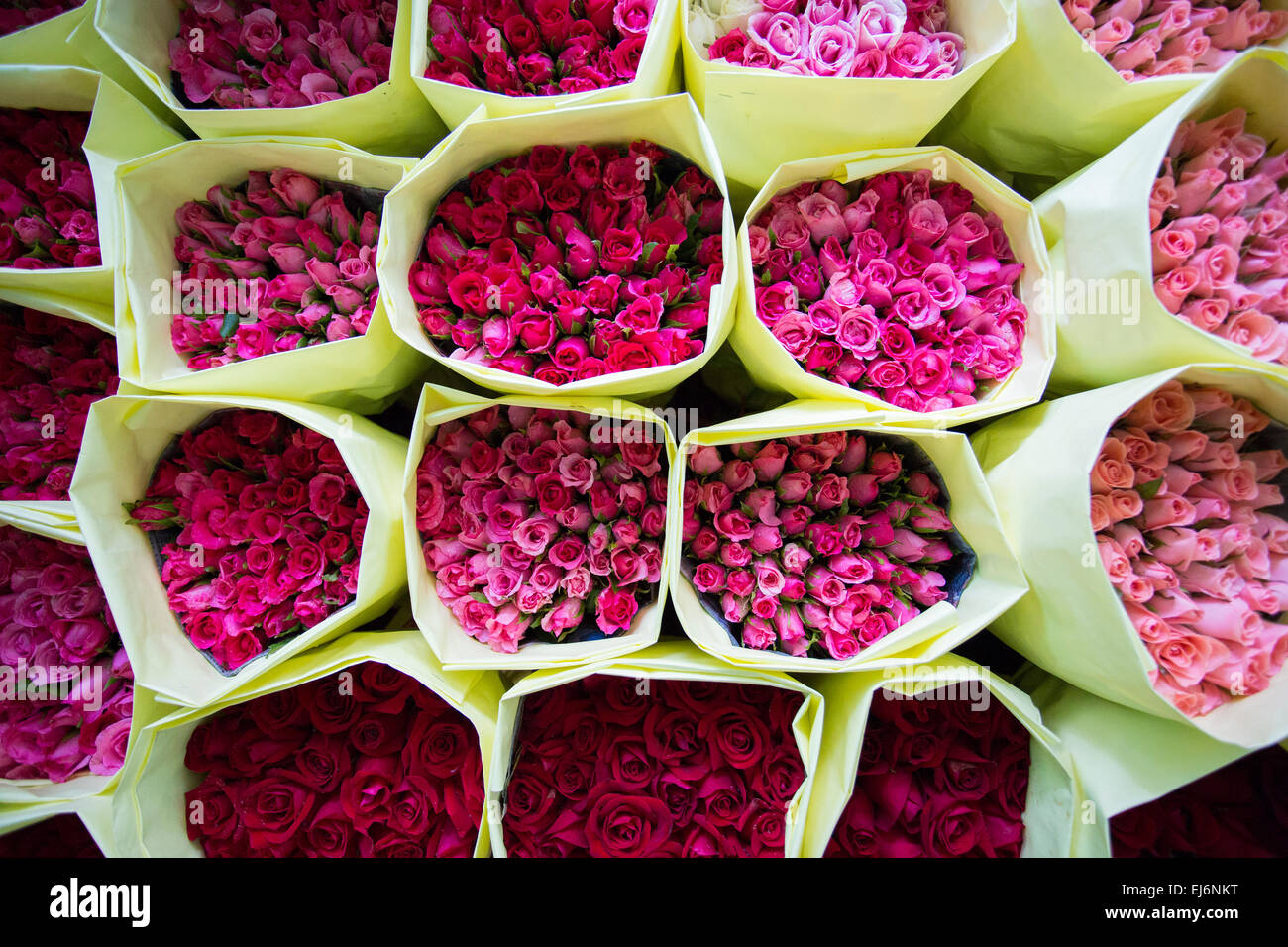 Bunches of pink roses hi-res stock photography and images - Alamy