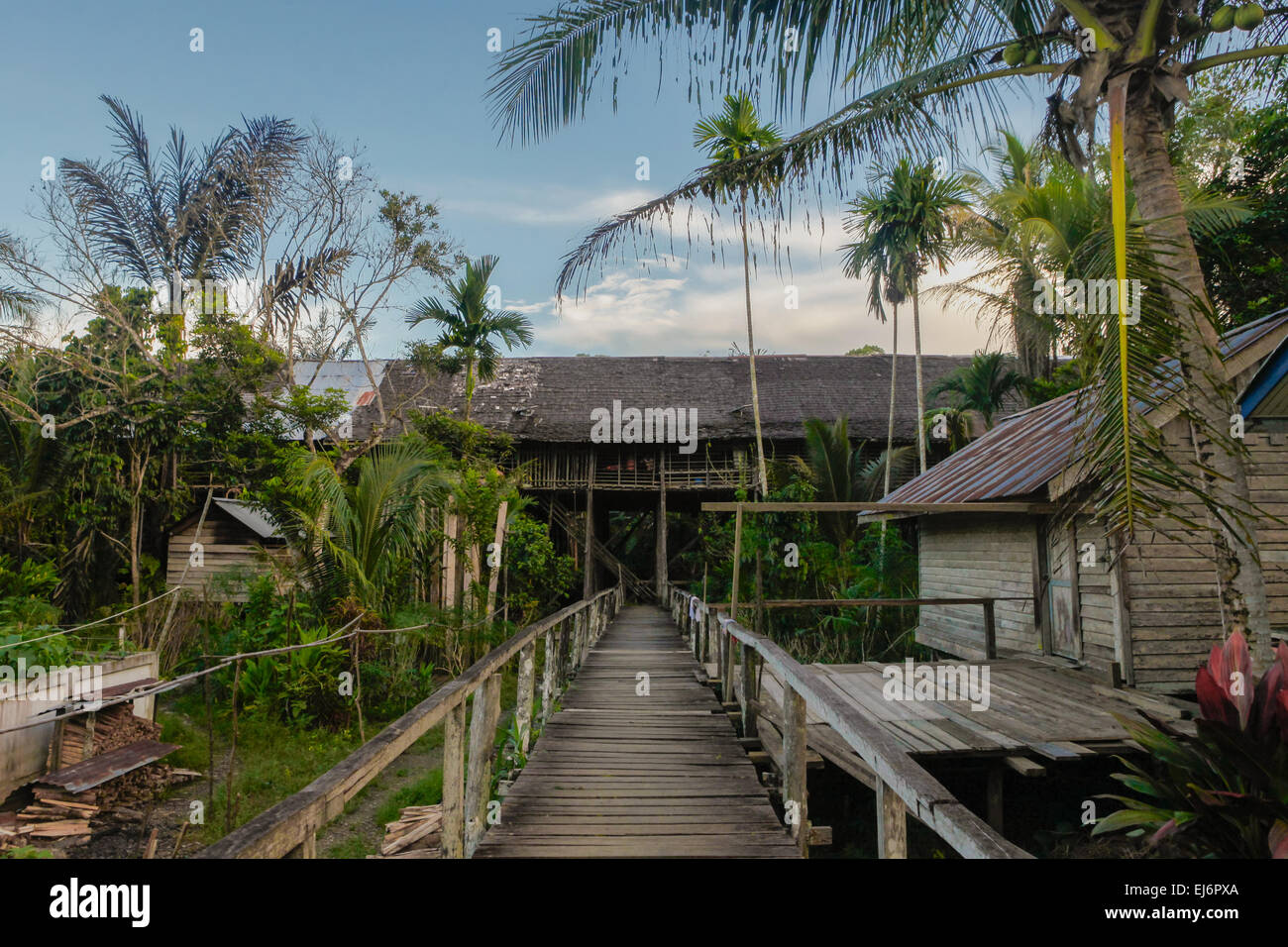 Dayak longhouse at Uluk Palin village, Upper Kapuas, West Kalimantan ...