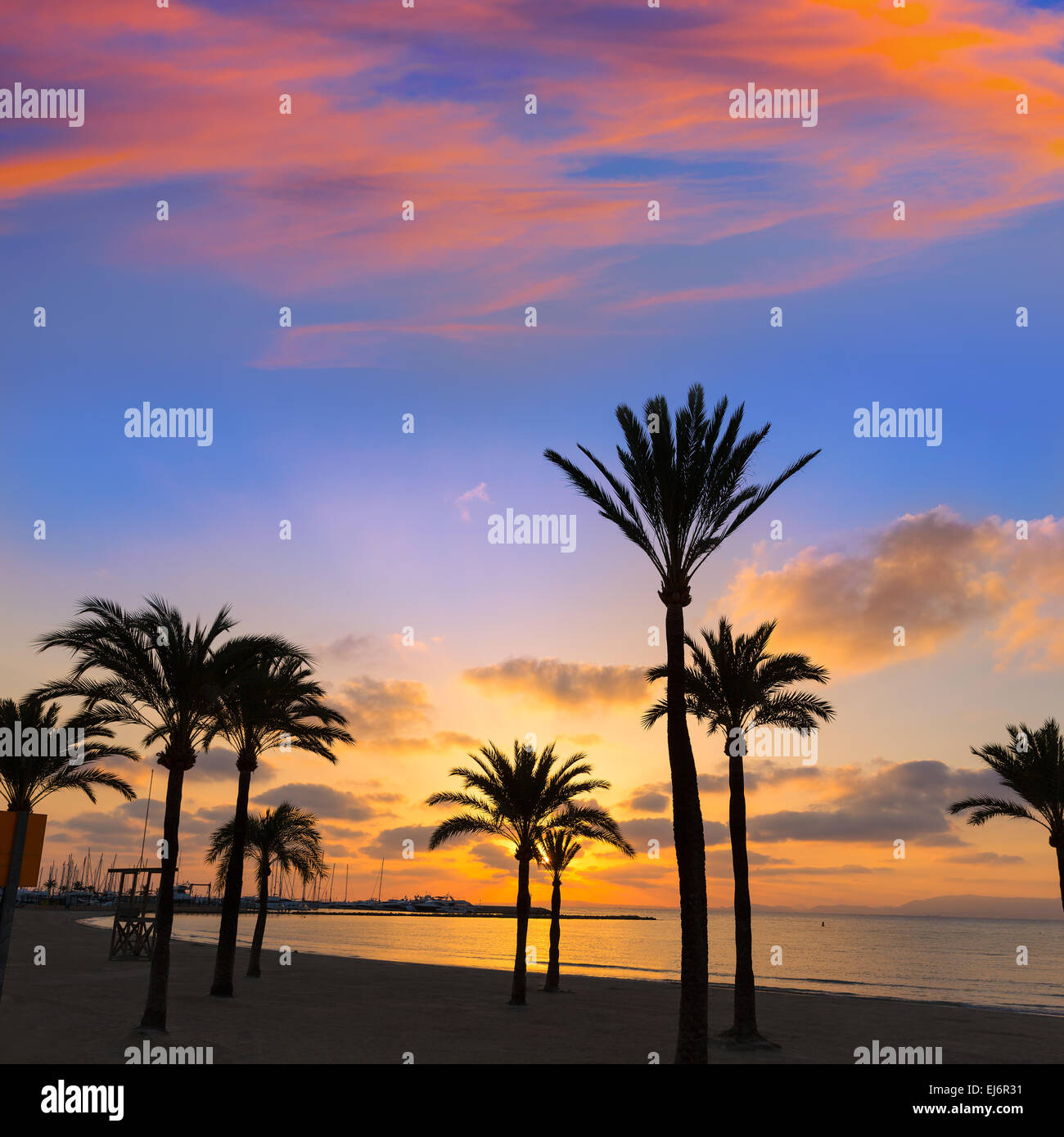 Majorca El Arenal sArenal beach sunset near Palma de Mallorca in ...