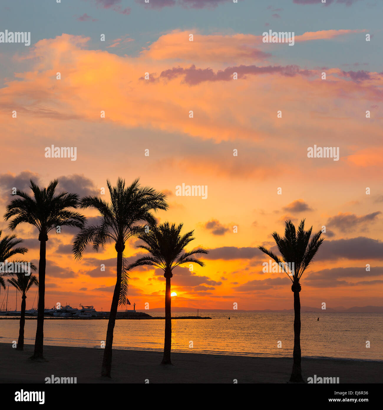Majorca El Arenal sArenal beach sunset near Palma de Mallorca in ...