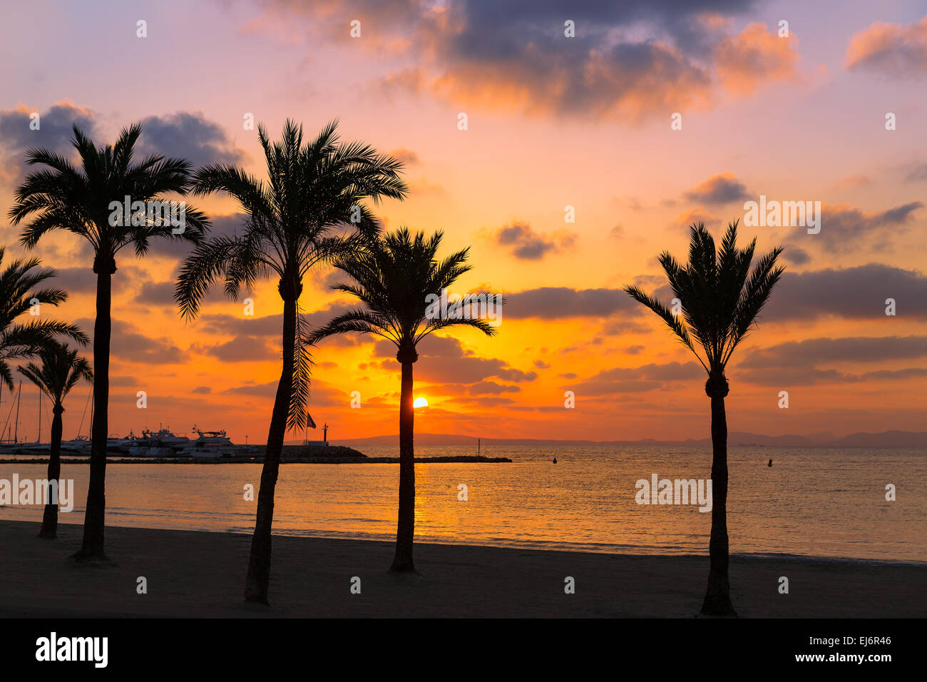 Majorca El Arenal sArenal beach sunset near Palma de Mallorca in ...