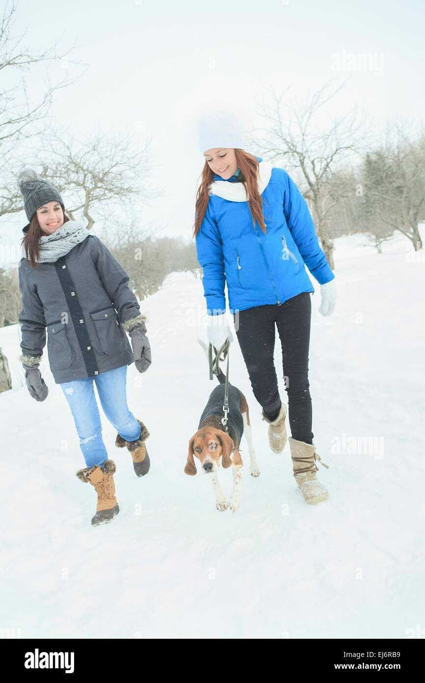 Dog friends winter Stock Photo - Alamy