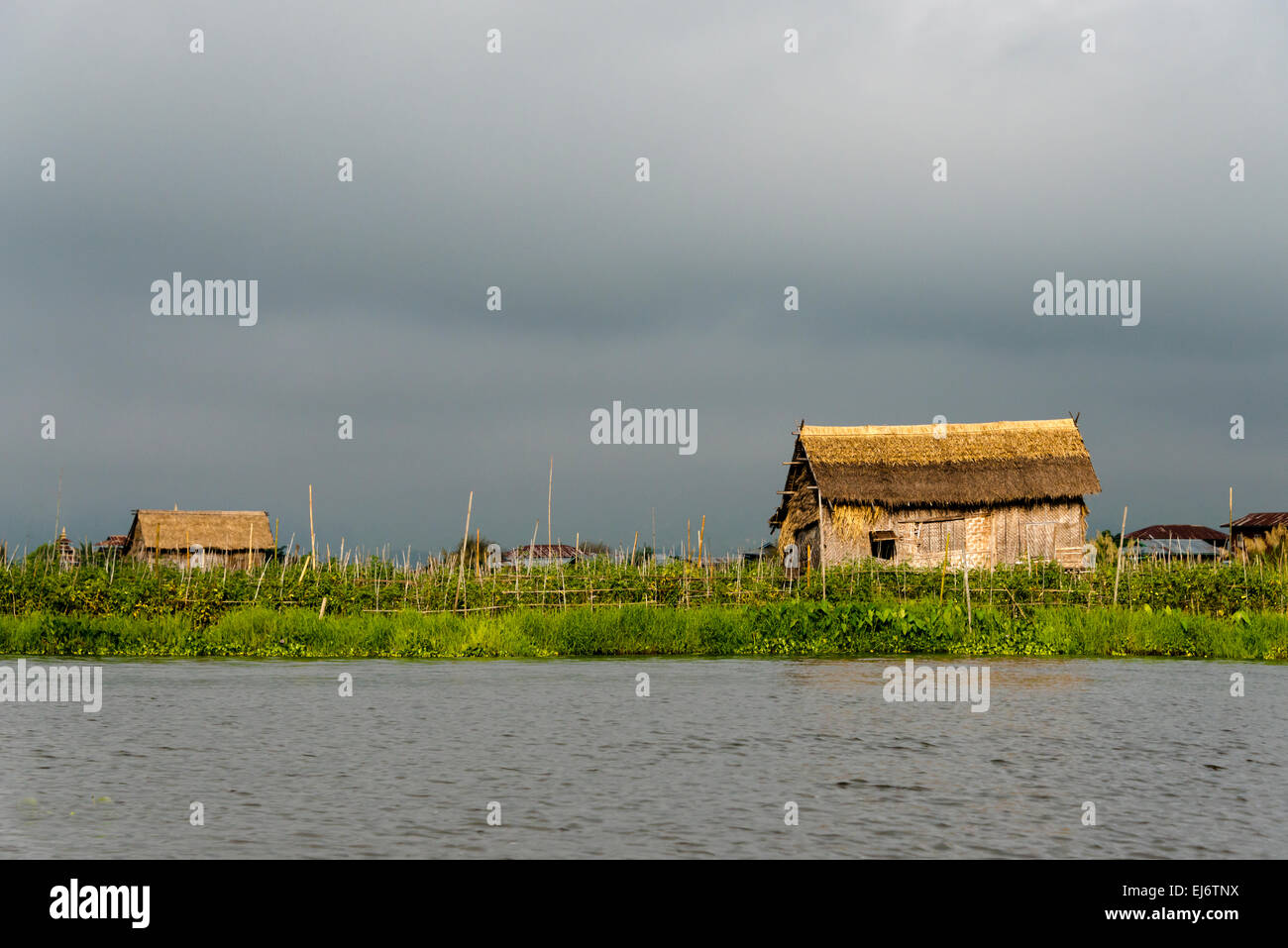 Floating farm and cottage on Inle Lake, Shan State, Myanmar Stock Photo ...