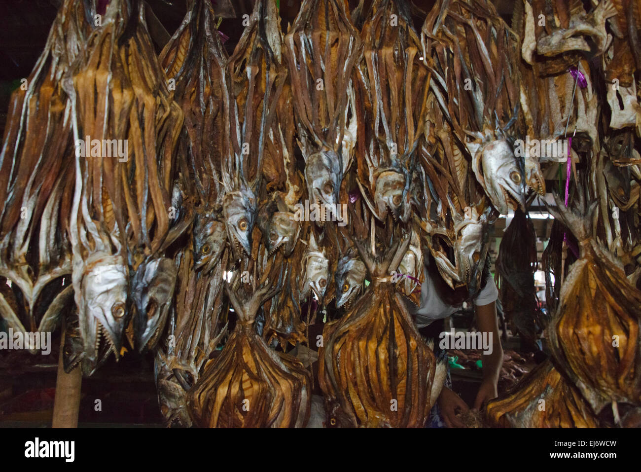 Morning fish market, Sittwe, Rakhine State, Myanmar Stock Photo - Alamy
