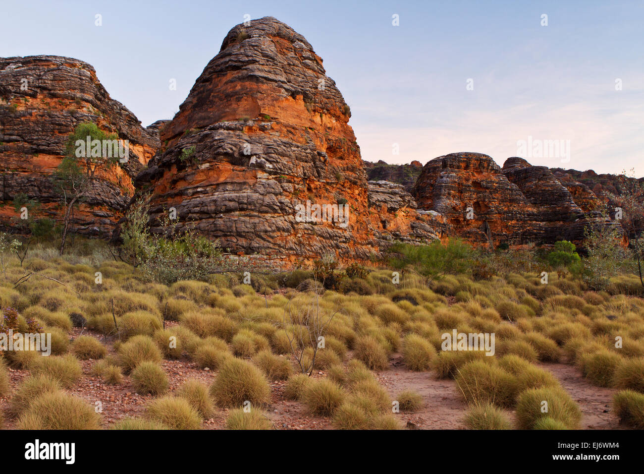 Spinifex grass and beehive-shaped cone karst towers in Purnululu ...