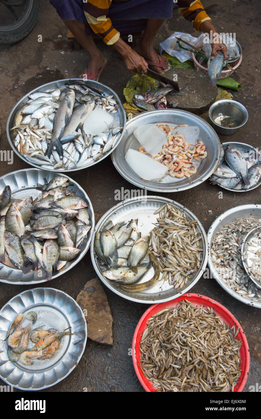 Myanmar fish hi-res stock photography and images - Alamy