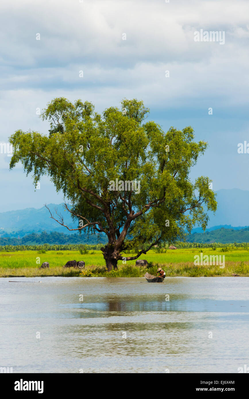 Canoe on the Kaladan River, between Sittwe and Mrauk-U, Rakhine State ...