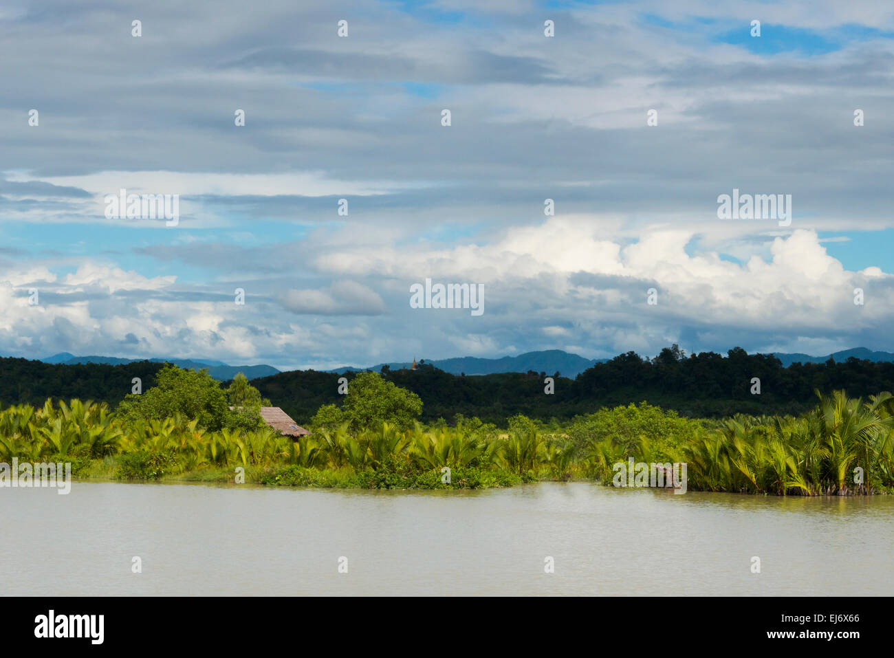 Scenery along the Kaladan River, between Sittwe and Mrauk-U, Rakhine ...