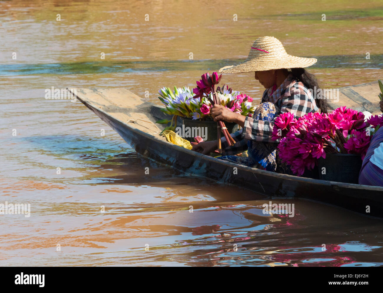Woman rowing boat loaded with flowers, Inle Lake, Shan State, Myanmar ...