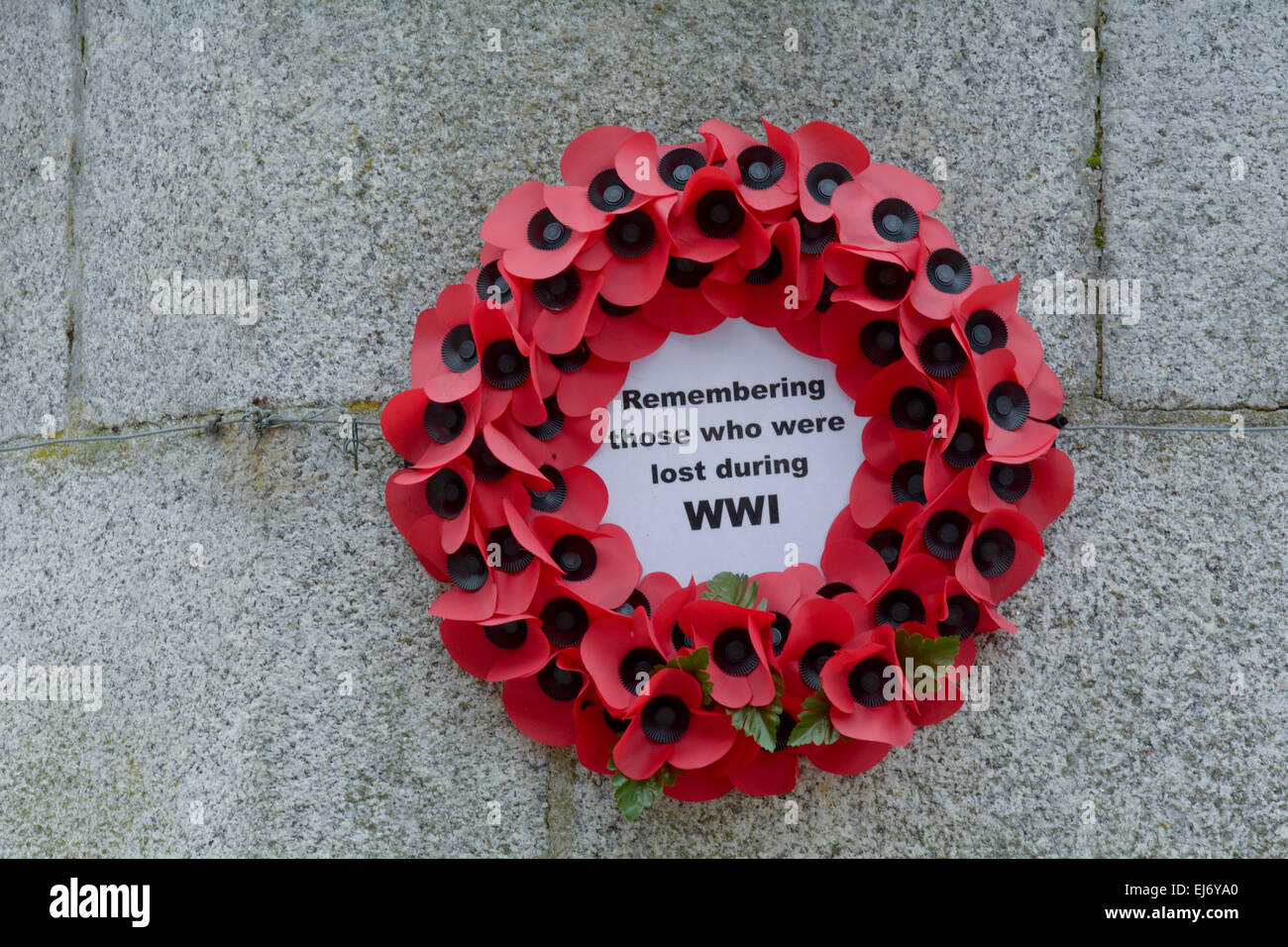 Poppy ring on remembrance for troops killed during World War One at war ...
