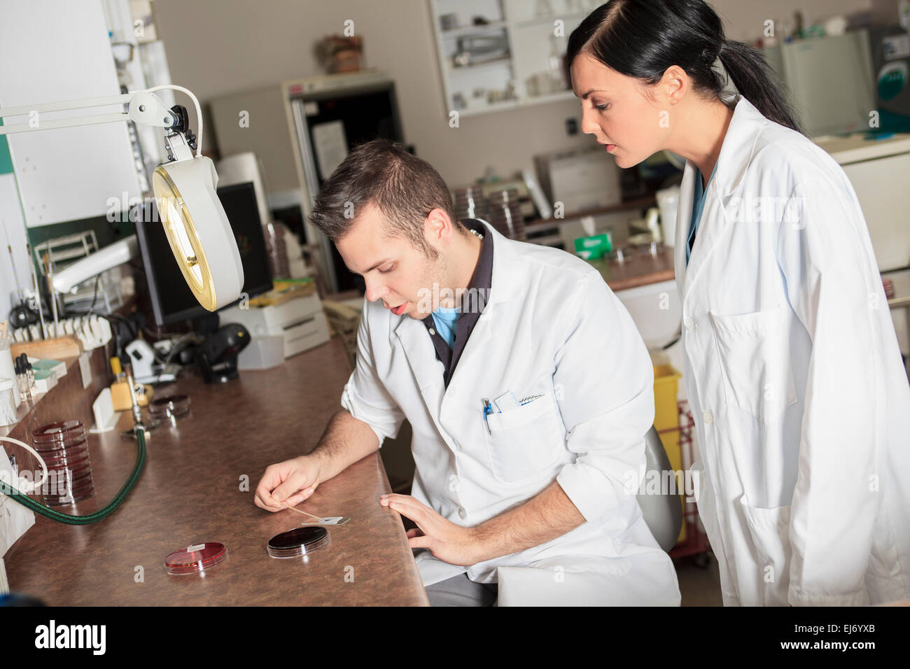 scientist at work in a laboratory Stock Photo - Alamy