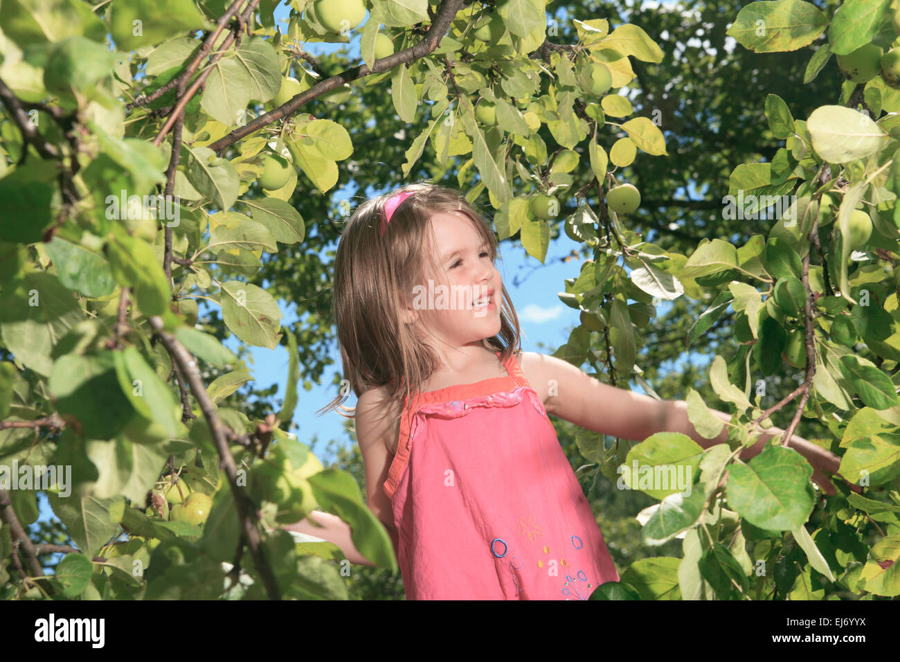Portrait of a happy little girl in countryside Stock Photo - Alamy