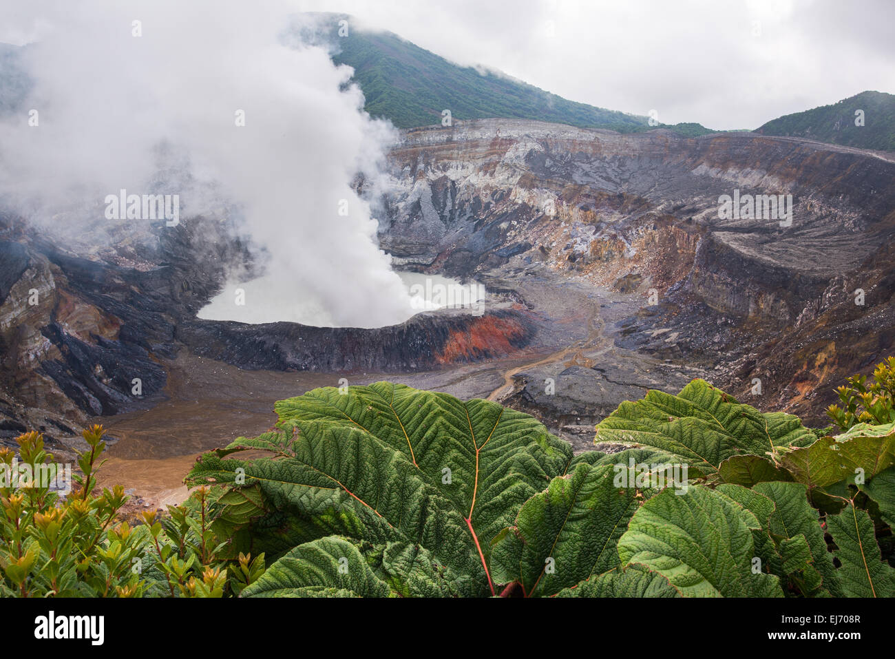 volcano volcanic landscape smoke smoking working costa rica rainforest ...