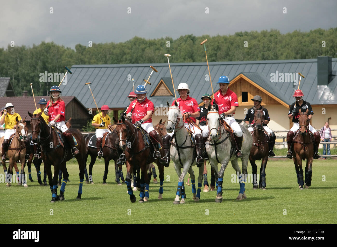 Sport polo player argentina hi-res stock photography and images - Alamy