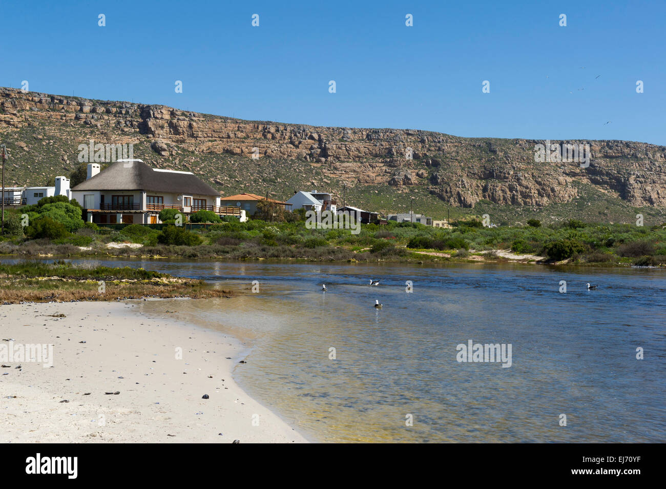 Beach, Elands Bay, South Africa Stock Photo - Alamy