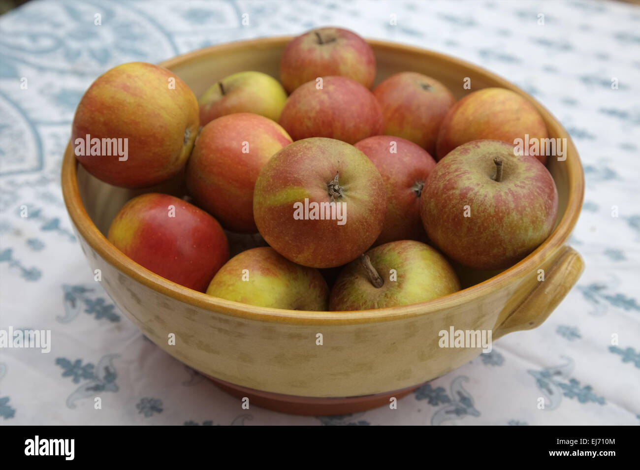 Malus domestica 'Coxs Orange Pippin' - a bowl of eating apples Stock ...