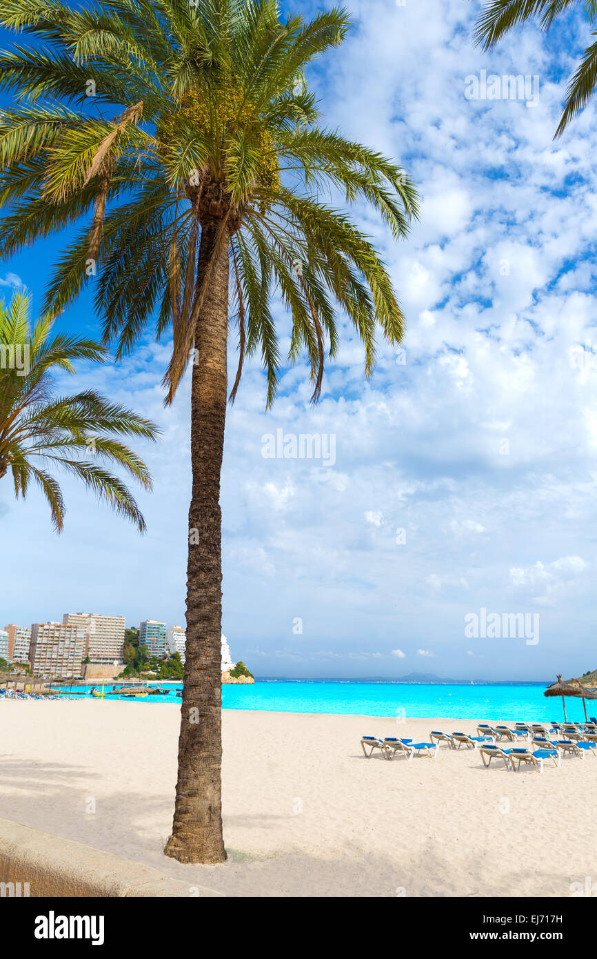 Mallorca Magaluf Magalluf beach in Calvia Mallorca at Balearic islands ...