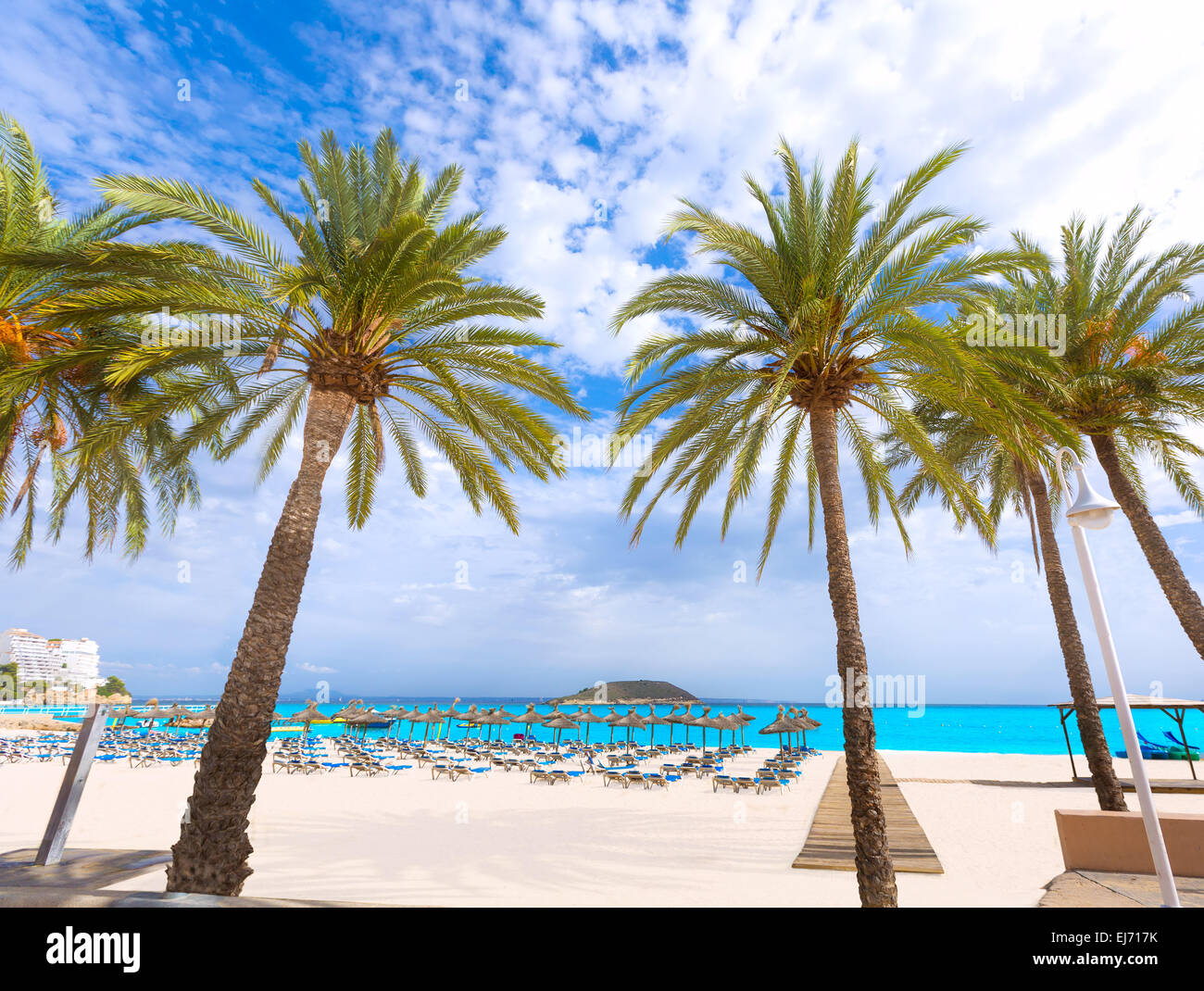 Mallorca Magaluf Magalluf beach in Calvia Mallorca at Balearic islands ...