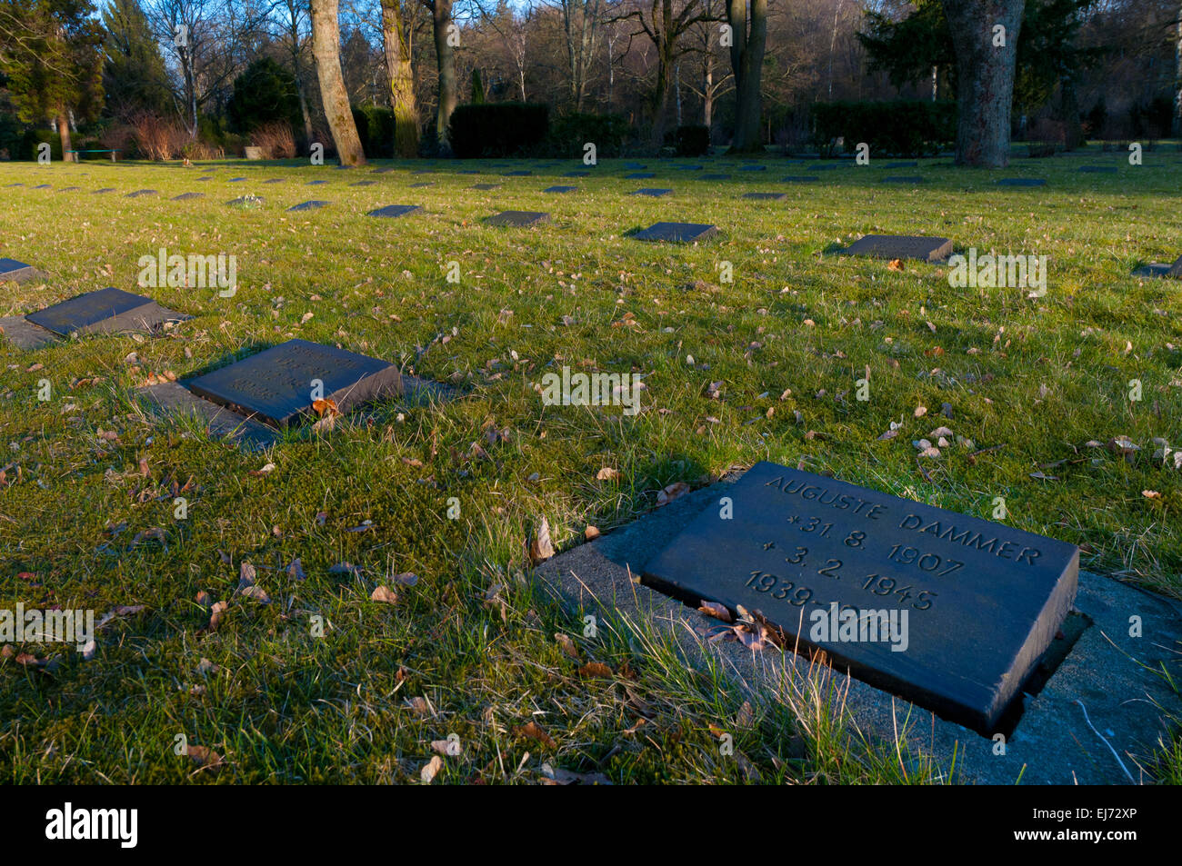 German war cemetery, Lilienthalfriedhof Berlin Stock Photo - Alamy