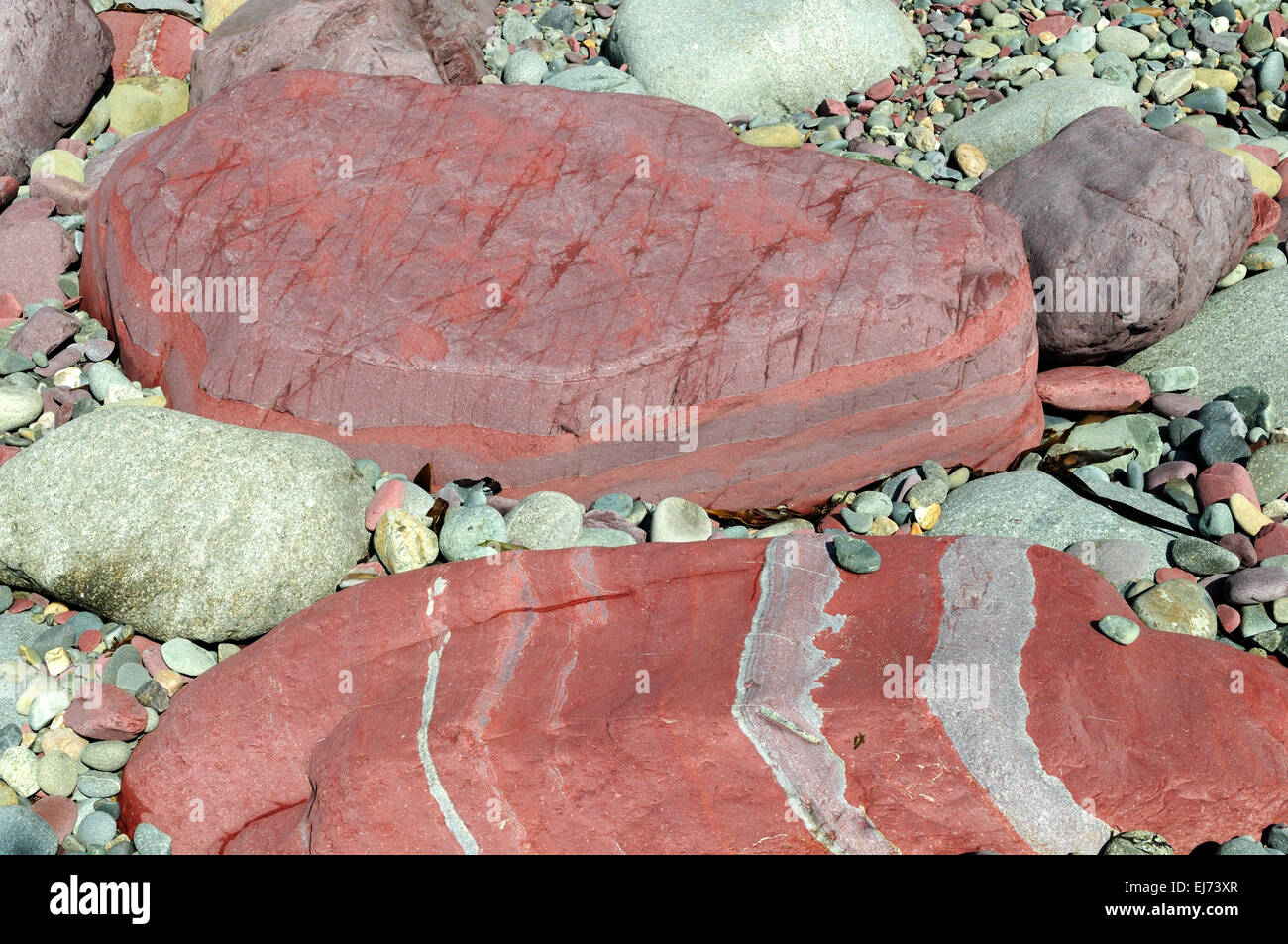 Red rocks and pebbles on the beach Caerfai Bay St Davids Pembrokeshire ...