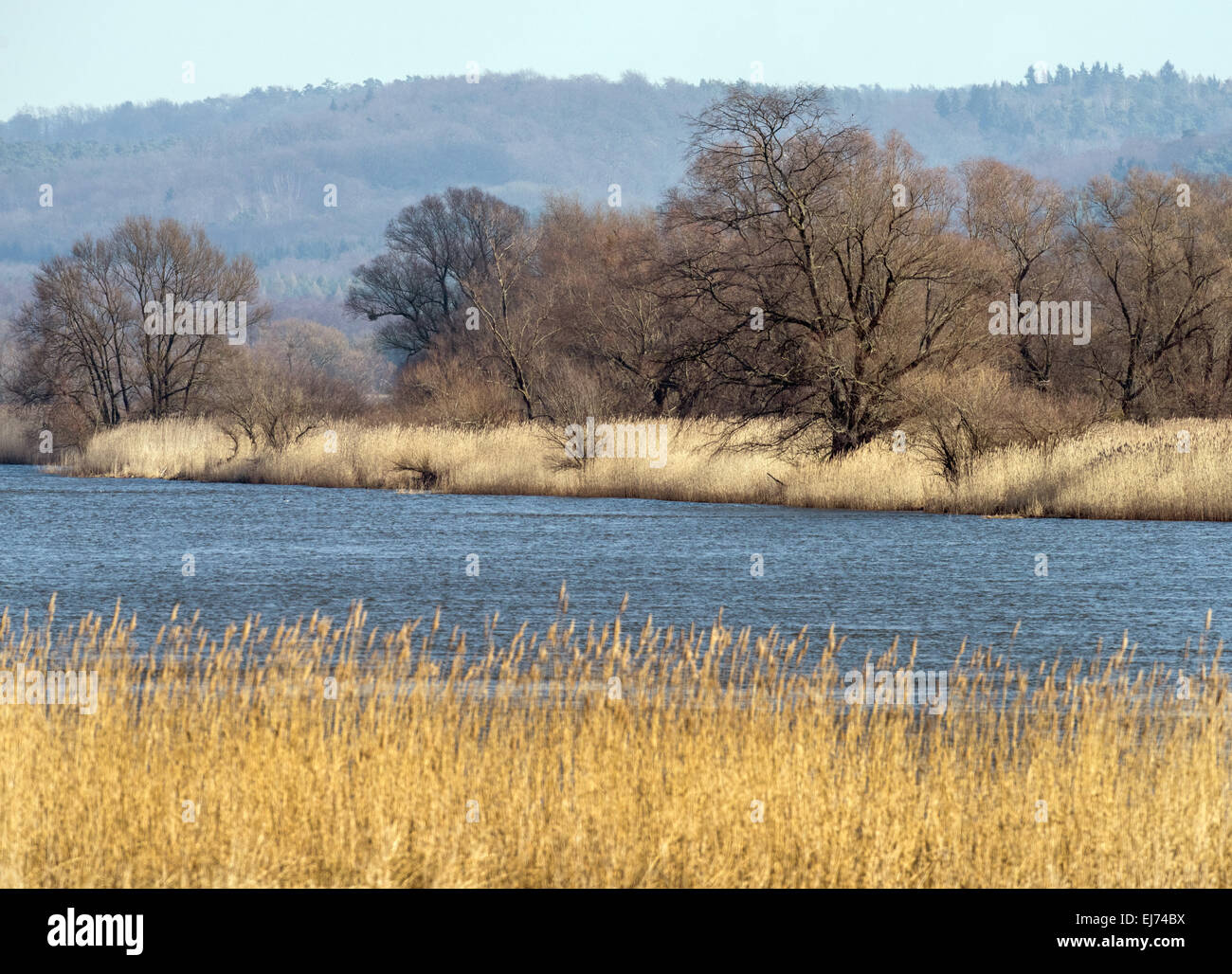 A view of the flooded Polder marshes at the Lower Oder Valley National ...